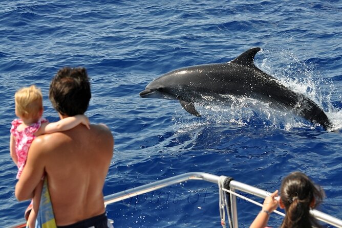 Spirit of the Sea: Cetacean sighting in Gran Canaria - A Closer Look at the Whale and Dolphin Watching Experience