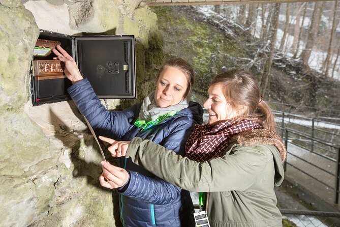 St. Gallen Foxtrail Columban - Key Points