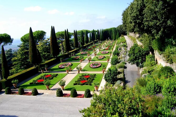 St. Peter's Basilica and Papal Grottoes Guided Tour - The Experience in Detail
