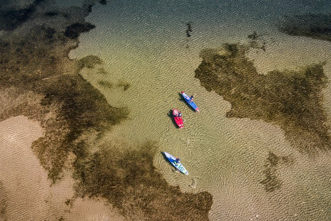 Stand-up-paddle on Laguna of Thau, rental, Sete - An In-Depth Look at the Paddleboarding Experience in Sete