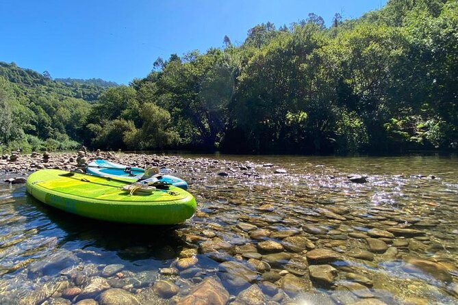 Stand-up-Paddle tour in Paiva river - Detailed Breakdown of the Experience