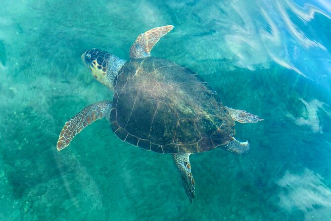 Stand-up Paddleboard Lazareta Experience Chania Crete (tour) - Why This Tour Stands Out
