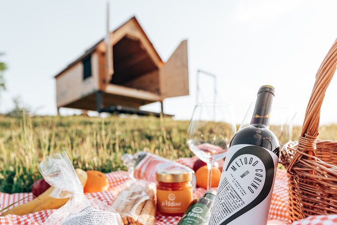 Stellar PicNic: Delight at sunset in the Tuscan countryside - The Experience in Detail