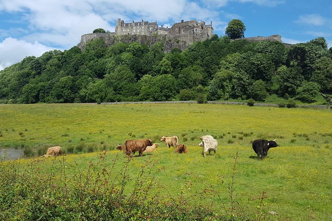 Stirling Castle, Trossachs, Loch Lomond and Whisky Tour - An Introduction to the Experience