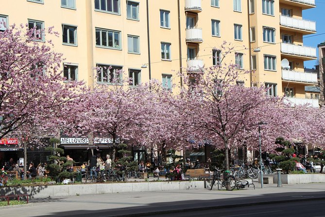 Stockholm Tour with a Local: Explore Hip And Bohemian Sodermalm - A Deep Dive into the Experience