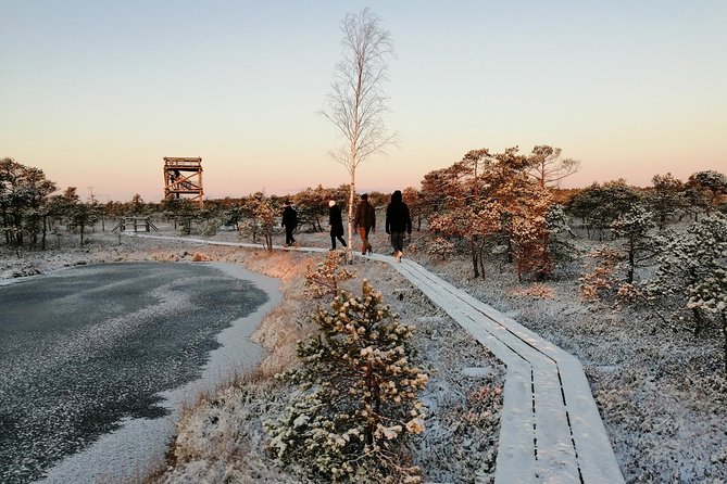 Sunrise at Kemeri National park + Jurmala - The Practical Side: What You Get and Why It Matters