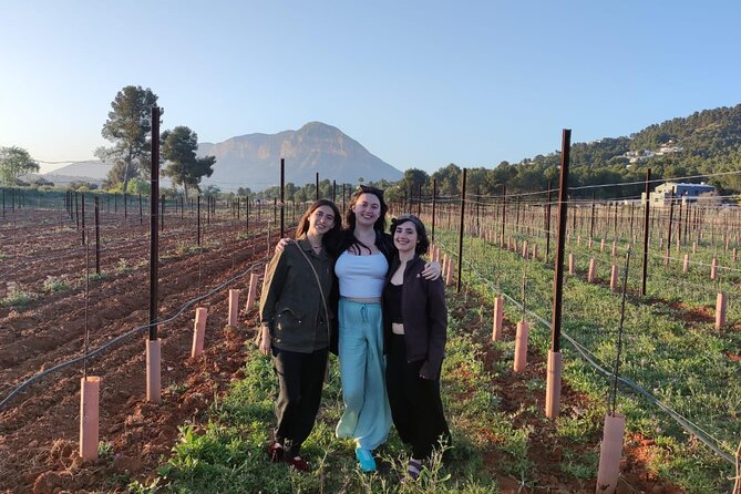 Sunset among Vineyards with Tasting in Alicante (min 6-12 people) - Exploring the Vineyard Experience in Alicante