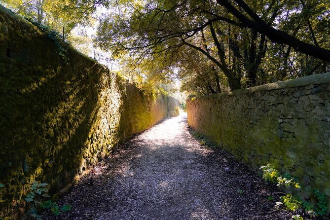Sunset Hike in Fiesole with Aperitivo - A Comprehensive Review of the Sunset Hike in Fiesole with Aperitivo