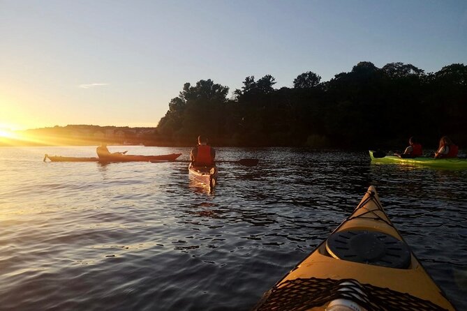 Sunset Kayak Tour in Central Stockholm and Swedish Fika - What to Expect from the Sunset Kayak Tour