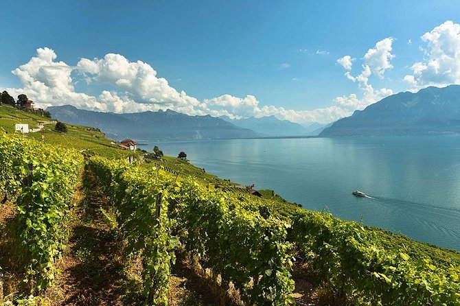 Swiss Wine Tasting at Lavaux Vineyards: Private Trip from Geneva - An In-Depth Look at the Experience