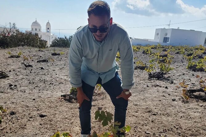 Tailored Santorini Adventure: Your Personalized Private Tour - What’s Included and What’s Not