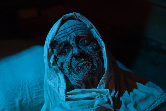 Tales of Torture in Mdina Dungeons - Guided Tour - An In-Depth Look at the Mdina Dungeons Guided Tour