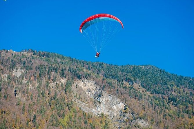 Tandem Paragliding in Alanya - The Detailed Review of the Experience