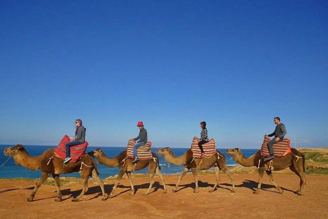 Tangier in Morocco private tour from Seville for up to 8 persons - An In-Depth Review of the Experience
