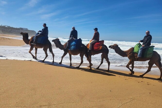 Tangier Luxury Private Day Tour From Tarifa including Camel ride - The Itinerary in Detail: What Youll Experience