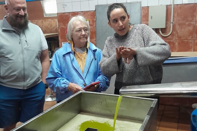 Tarragona: History & Olive Oil tasting from Barcelona - Key Points