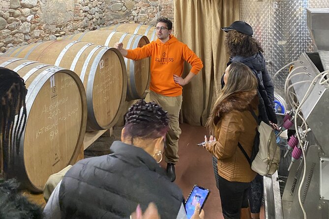 Tasting in a Tuscan Vineyard with transfer from Pisa - The Vineyard Walk and Cellar Tour