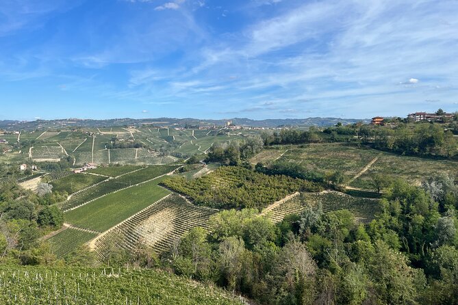 Tasting of Classic Method Sparkling Wines - The Visit and Tasting Experience