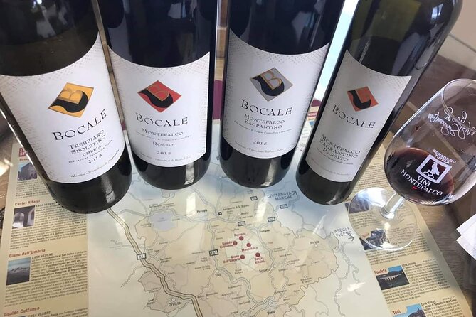 Tasting Selection of 4 wines in Montefalco - Key Points