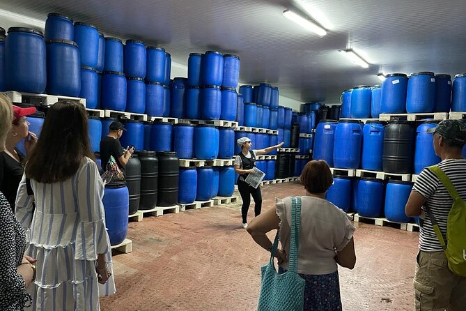 Tavira Olive Experience Factory Tour and Tasting - What to Expect from the Tavira Olive Experience Factory Tour