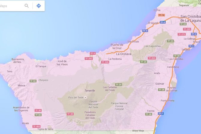Tenerife Airport Transfer from South Airport (Reina Sofia) to North Area Hotels - Why This Transfer Stands Out