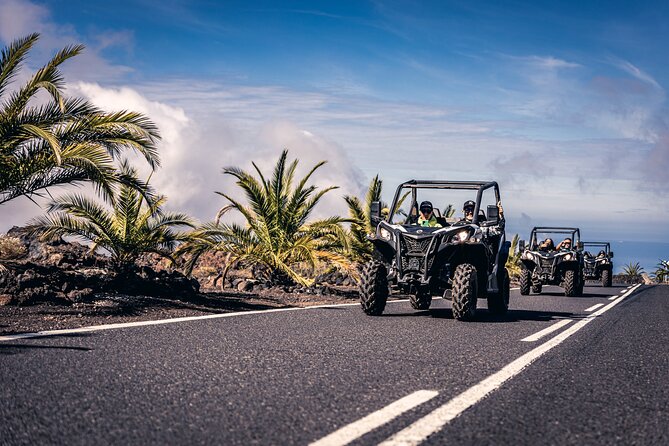 Tenerife Guided Buggy Discovery Tour Around Mount Teide - How It Feels to Be on the Tour