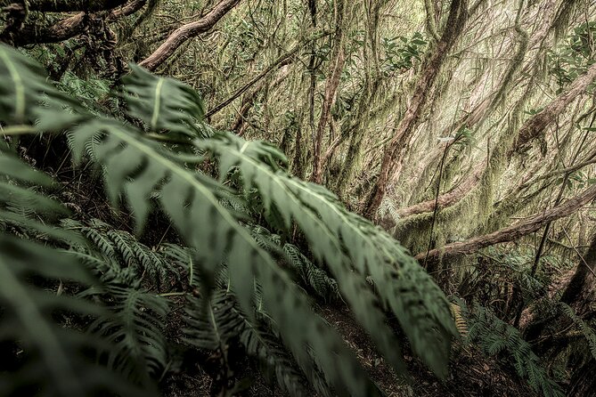 Tenerife Landscape Photography Workshops 10 hours - What Makes This Photography Workshop Stand Out