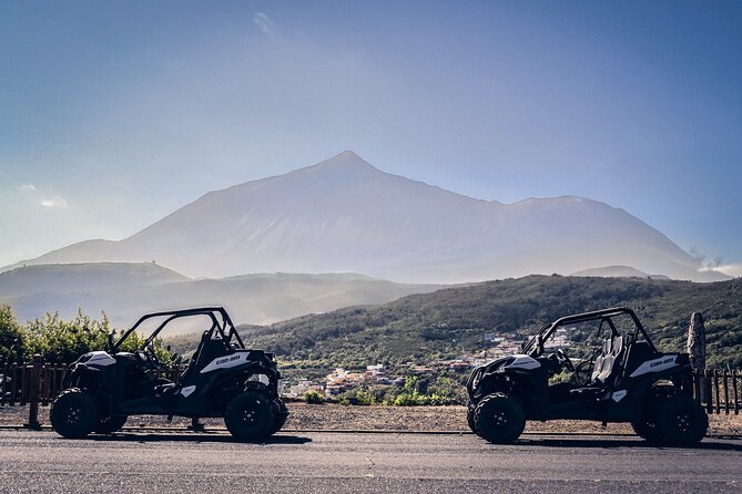 Tenerife Teide National Park Buggy Tour with Hotel Transfer - A Thorough Look at the Tenerife Buggy Tour