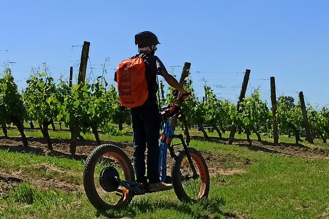 The greedy Rando Trotter of Theo - Practical Details and What to Expect
