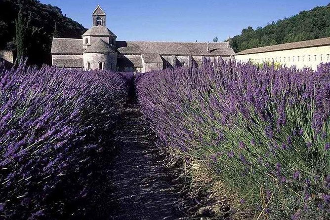 The Lavender country - Private tour with a local guide - Key Points