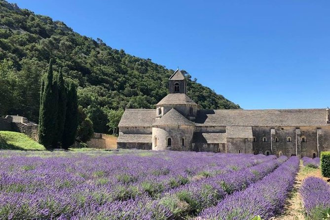 The Lavender tour from marseille or aix en provence - Authentic Perspectives from Past Travelers