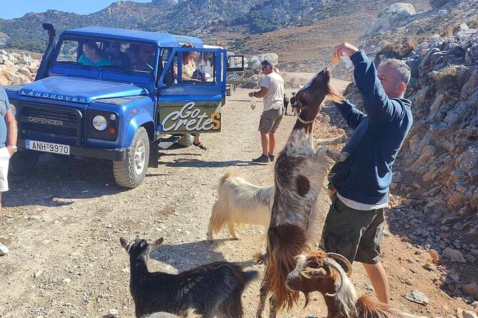 The Roads Of Wine Olive Oil And Cretan Tradition in Malia - Key Points