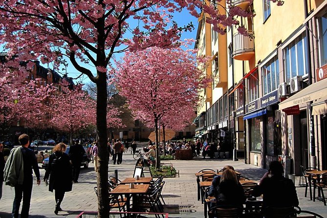 The Södermalm Tour in Stockholm - Detailed Breakdown of the Itinerary