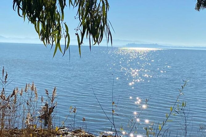 The spell of Lake Trasimeno - Trekking Tour - An In-Depth Look at the Tour Experience