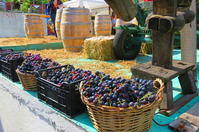 The wine route by bike - What the Tour Includes and What to Consider