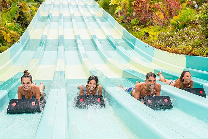 Ticket to Aqualand Tenerife - The Itinerary Breakdown: What to Expect
