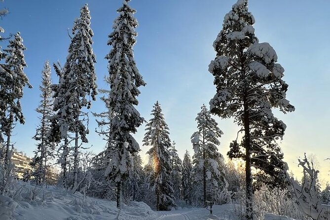 Top of Oslo Snowshoe Tour - Key Points