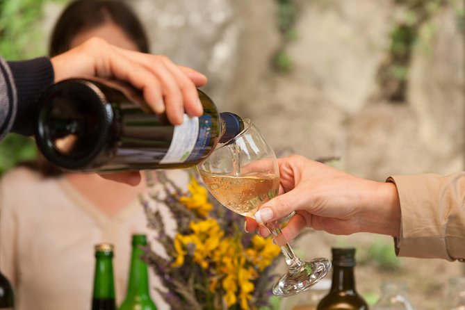 TOP TRUFFLES & WINE - Hunting & Tasting in Istria, Slovenia - Exploring the Slovenian Istria: A Picture-Perfect Setting