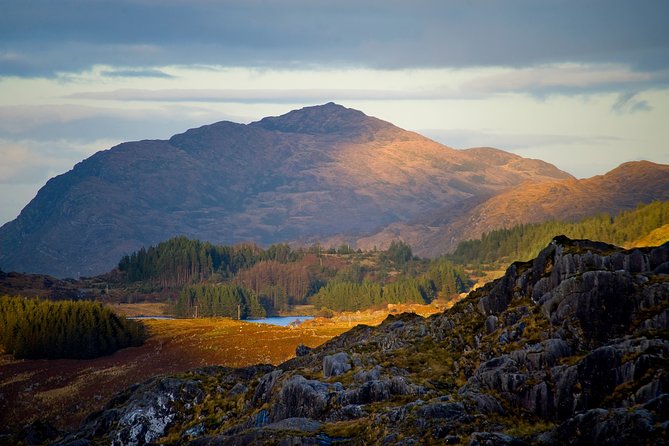 Torc mountain & waterfall hike. Killarney. Private guided group. 3½ hours. - The Itinerary: What You’ll See and Do
