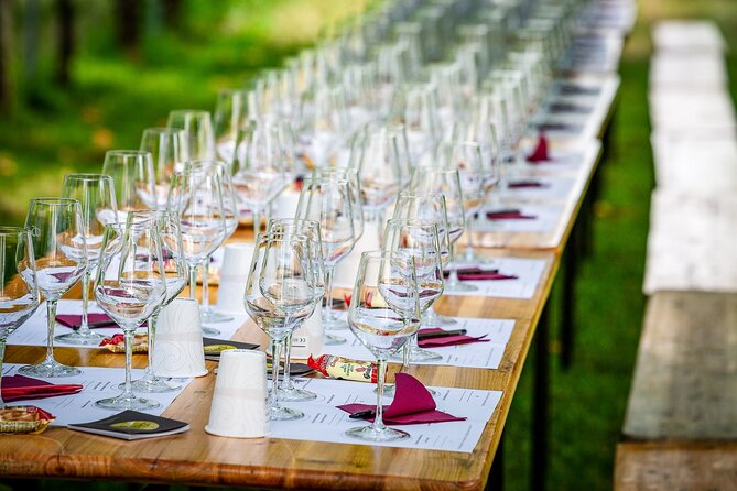 Tour and 3 wines tasting in the Prosecco Hills - Discovering the De Riz Winery: Family Roots and Sustainability
