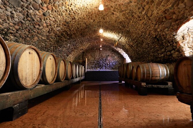 Tour and Tasting of Sparkling Wines in Valeggio - An In-Depth Look at the Tour Experience