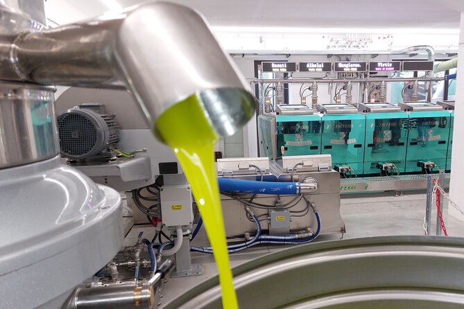 TOUR and TICKETS, VISIT TO THE MILL AND EVO OIL TASTING - The Itinerary in Detail: What to Expect