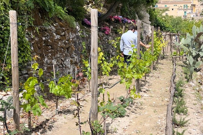 Tour in the heady scents of our garden in Ragusa - A Closer Look at the Itinerary