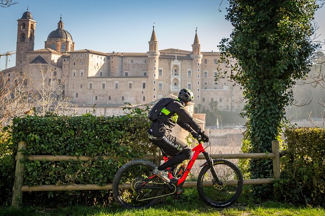 Tour in the Marche by Raffaello Sanzio: Art, Nature, Food and Wine - An Authentic Journey into Marche’s Past and Present