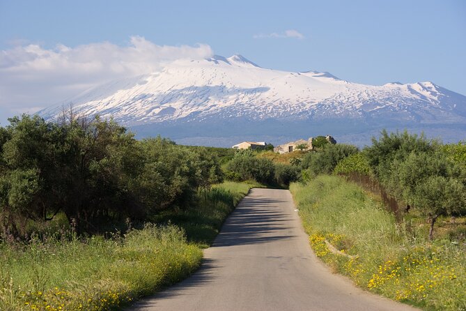 Tour of the Etna cellars, typical lunch and wine tasting - Key Points