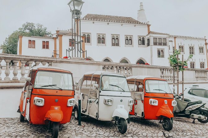 Tour Sintra Palaces & Mountain - Overview of the Experience