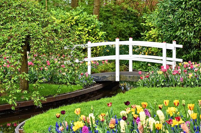 Tour to Giethoorn and Keukenhof Tulip Fields from Amsterdam - A Full Breakdown of the Itinerary: What You Can Expect