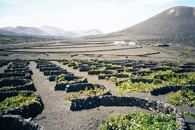 Tour to Timanfaya, La Geria and La Laguna Verde - Who Will Love This Tour?