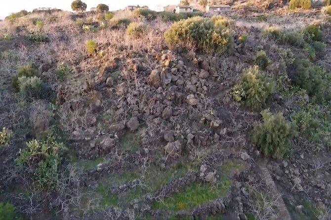 tour with tasting in the Bronte pistachio plantations - The Heart of the Sicilian Pistachio: What to Expect