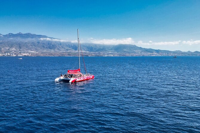 Tour with Whale and Dolphin Watching plus food included - Setting the Scene: What to Expect on This Tour